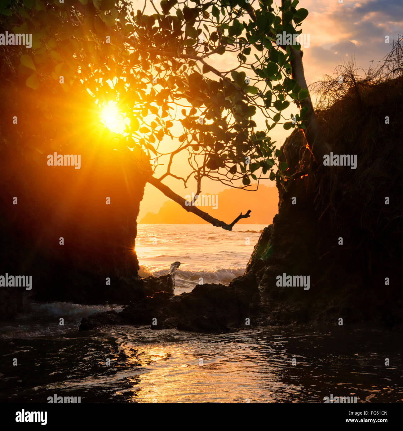 Beach, Corcovado National Park, Osa Peninsula, Costa Rica Stock Photo - Alamy
