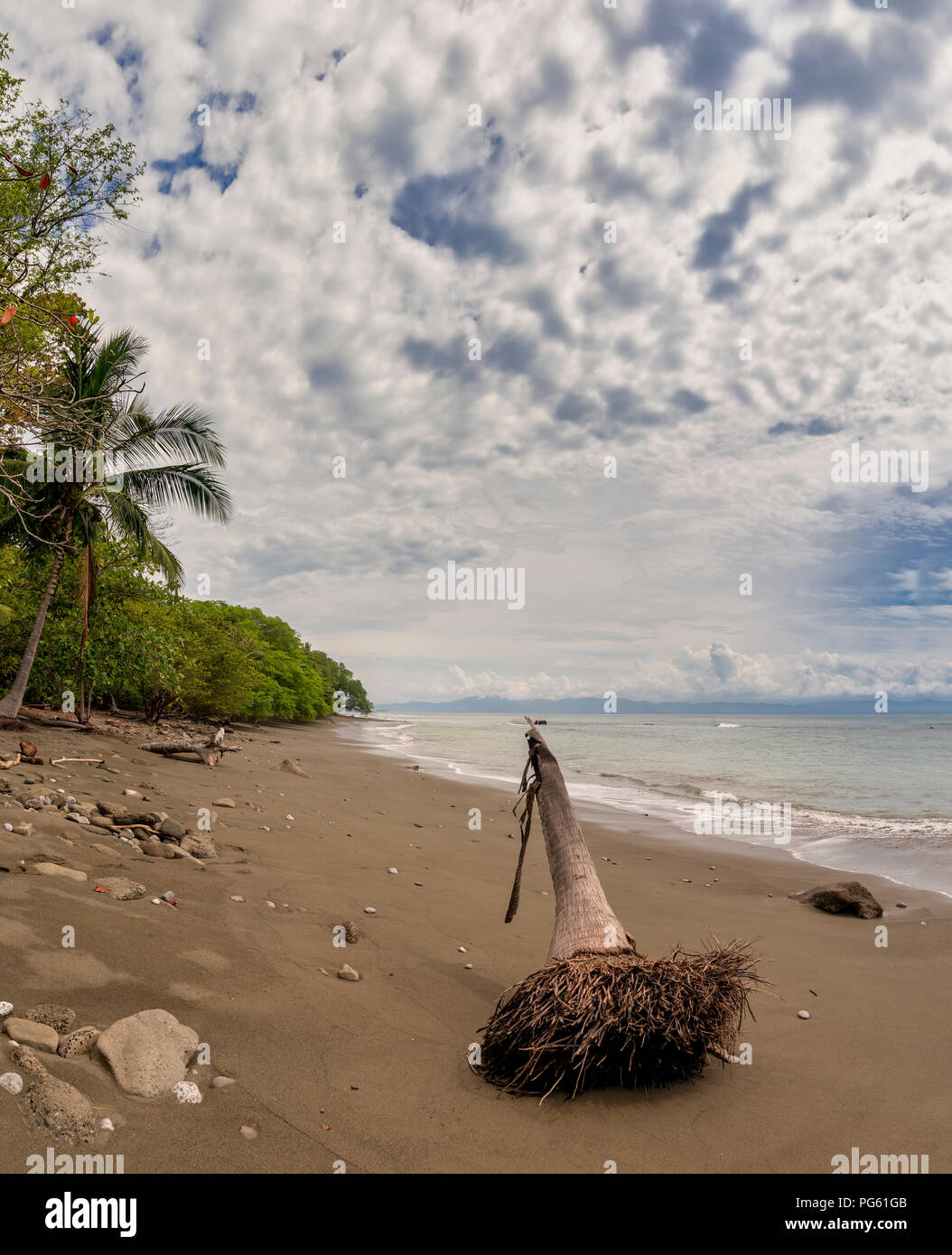 Beach, Corcovado National Park, Osa Peninsula, Costa Rica Stock Photo - Alamy