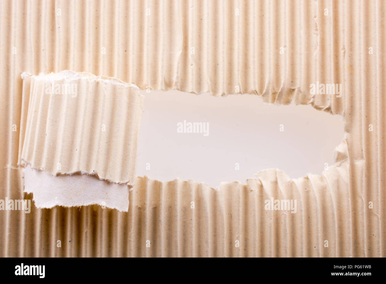 Rolled up torn paper on a white background Stock Photo - Alamy