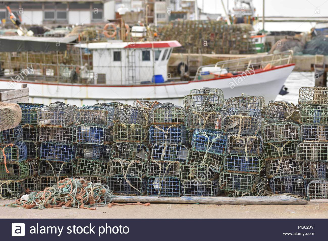 Seashell Cages High Resolution Stock Photography and Images - Alamy