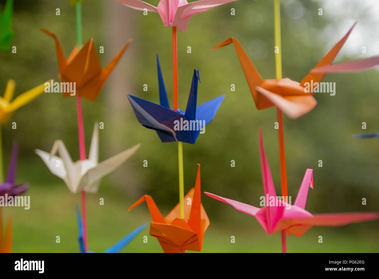 Origami Curtain in Rainbow colors Stock Photo - Alamy
