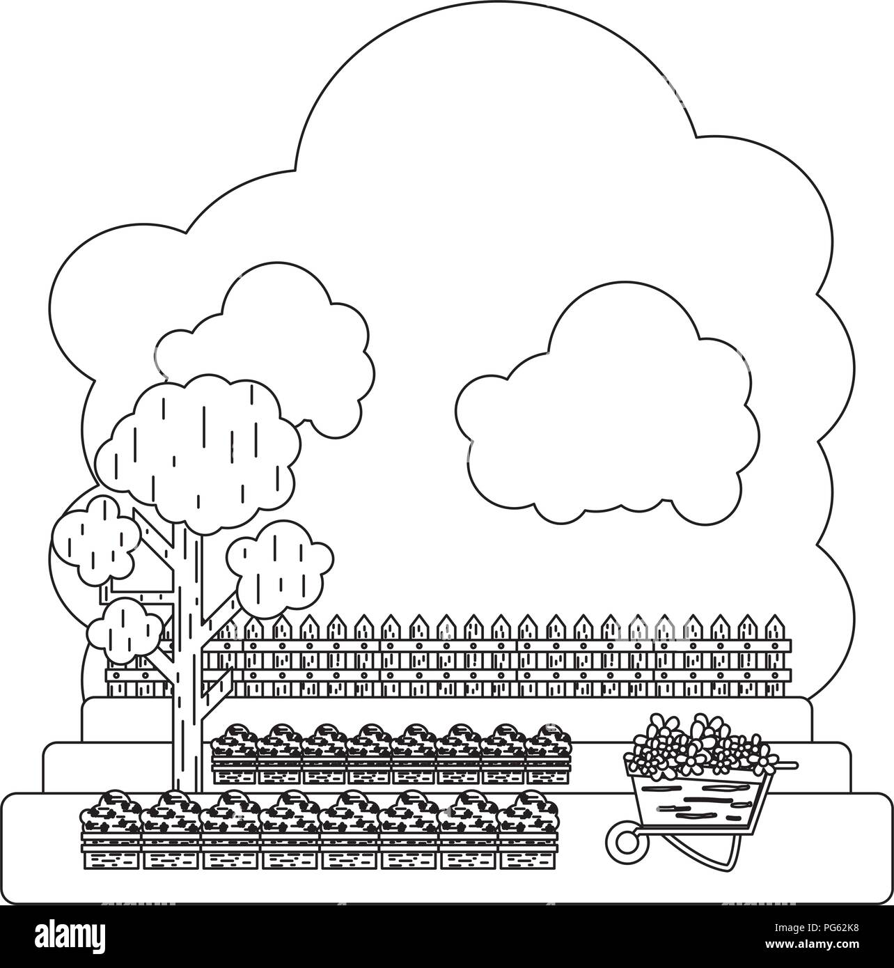 line cultivated with tree and wood grillage farm Stock Vector Image ...