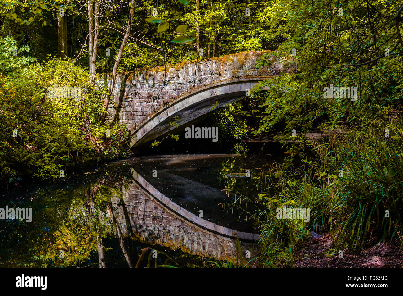 Moss covered bridge hi-res stock photography and images - Alamy