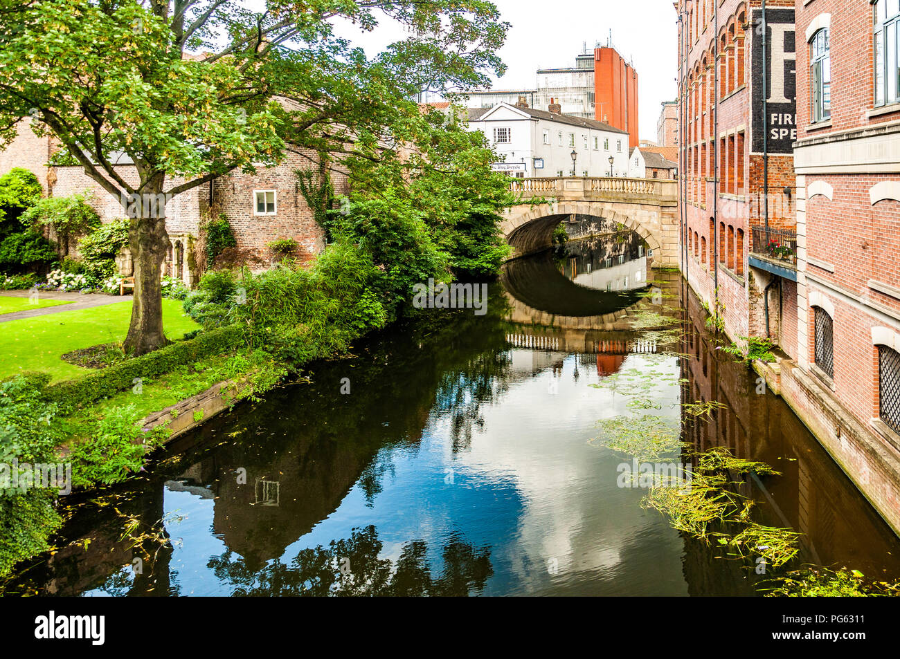 The River Foss with trees, a bridge and buildings next to it in York ...