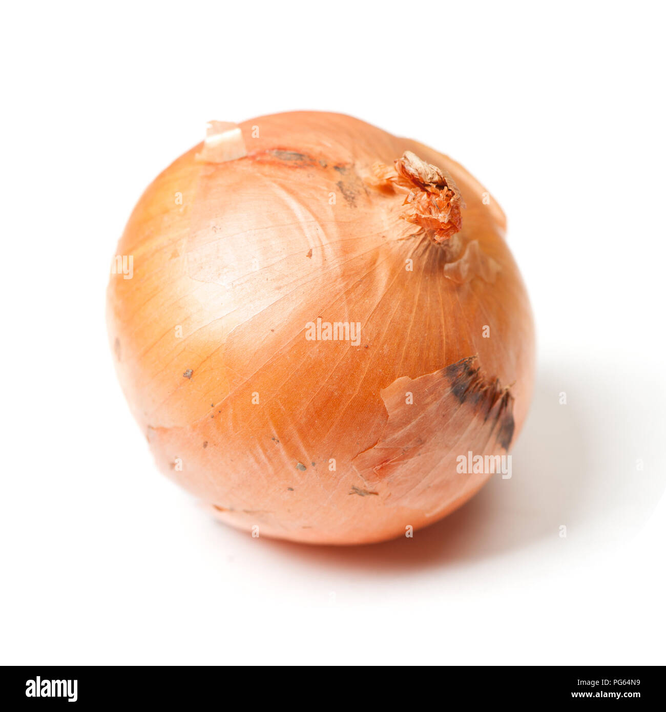 One rotten onion isolated on white background Stock Photo - Alamy