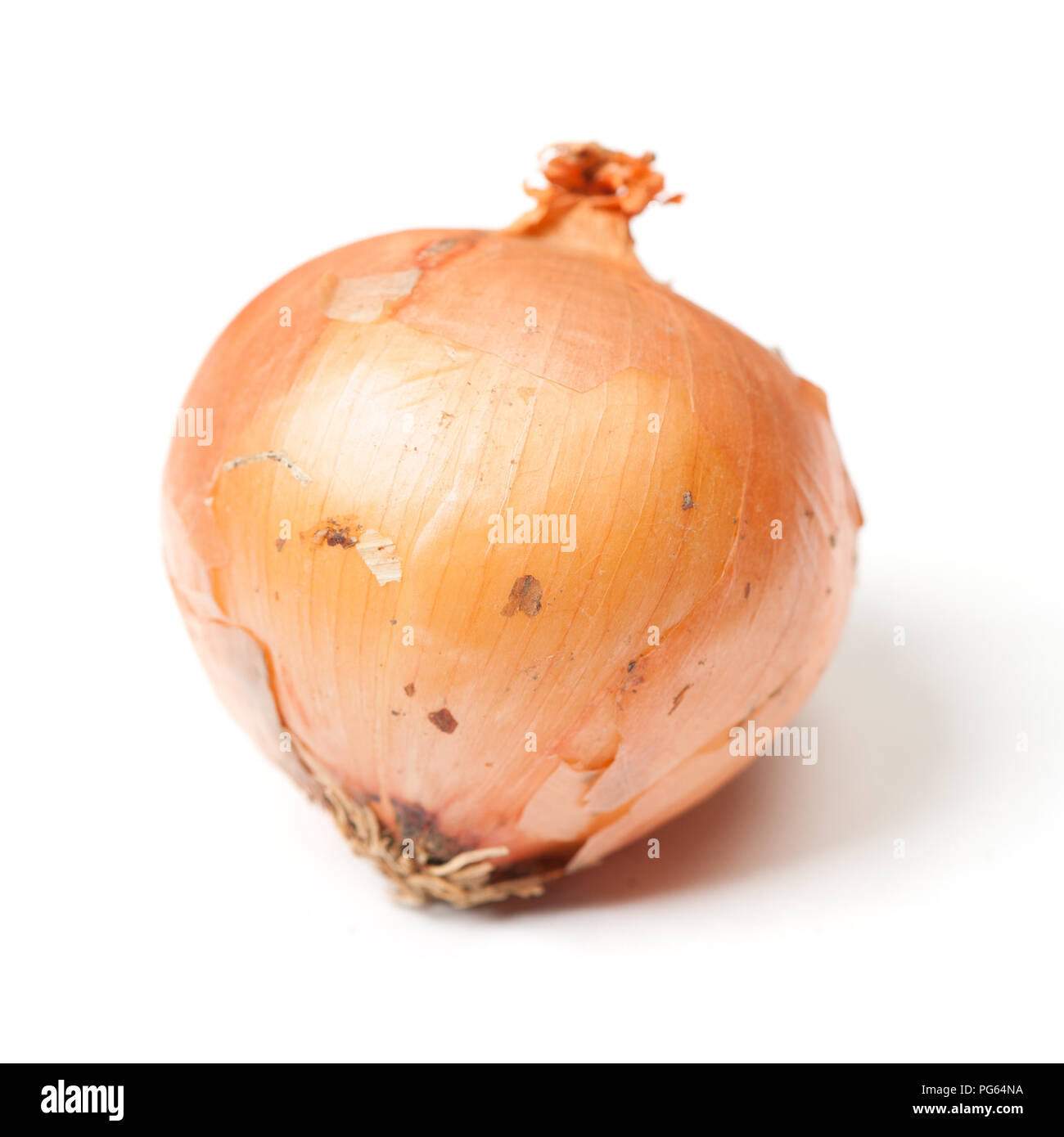 Rotten Onion News