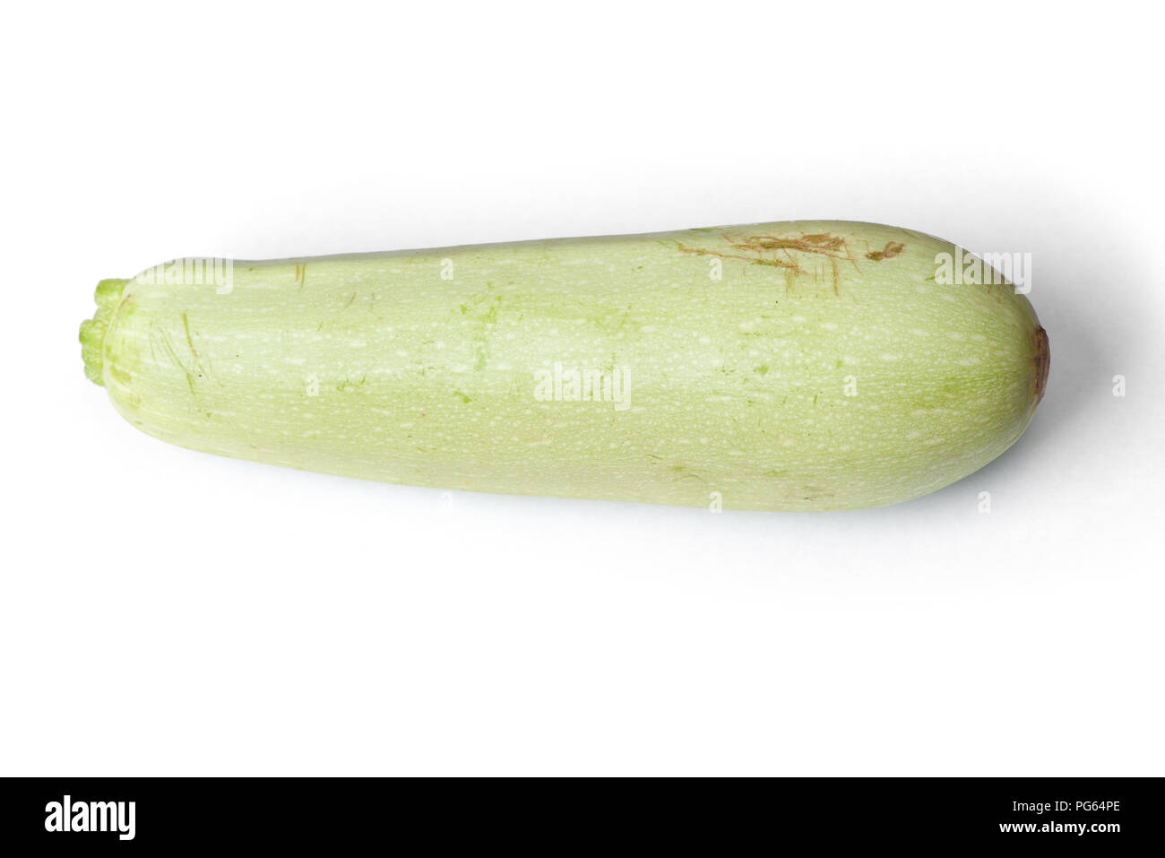 Single damaged squash vegetable marrow zucchini isolated on white ...
