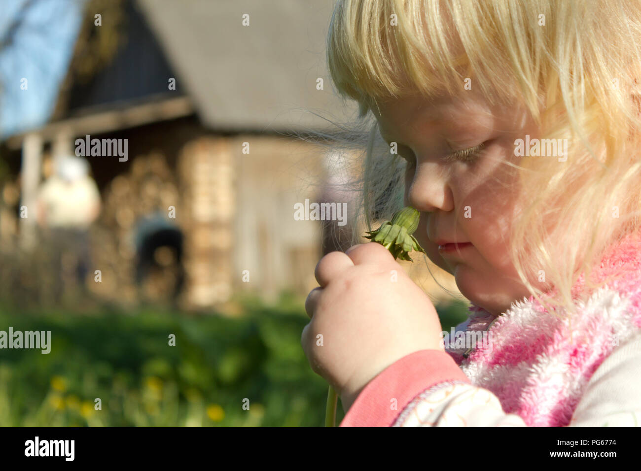 life in harmony with nature - little girl sniffing a flower Stock Photo ...