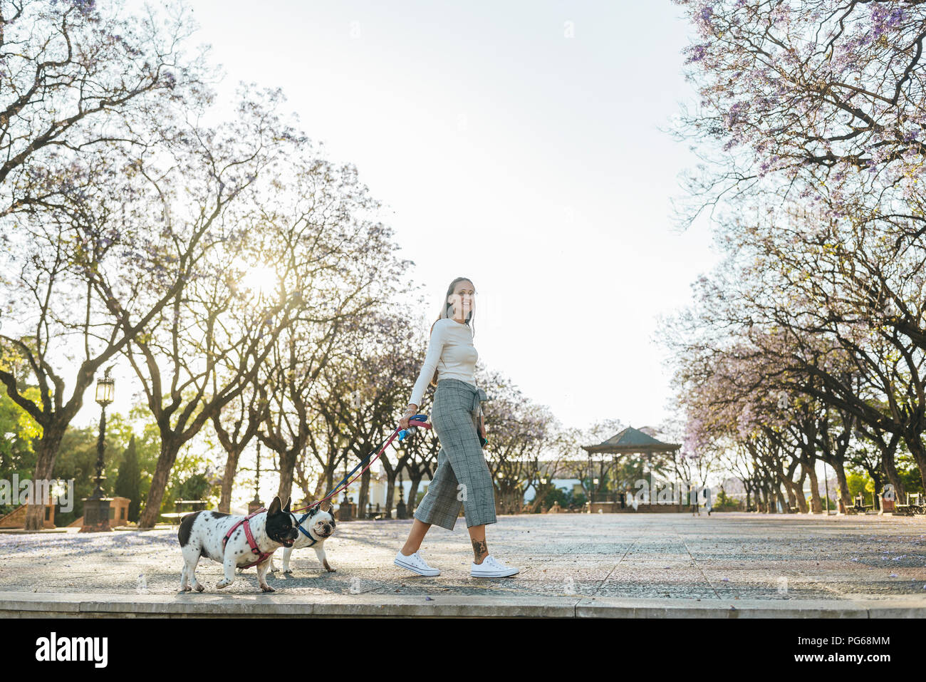 Woman walking two dogs square hi-res stock photography and images - Alamy