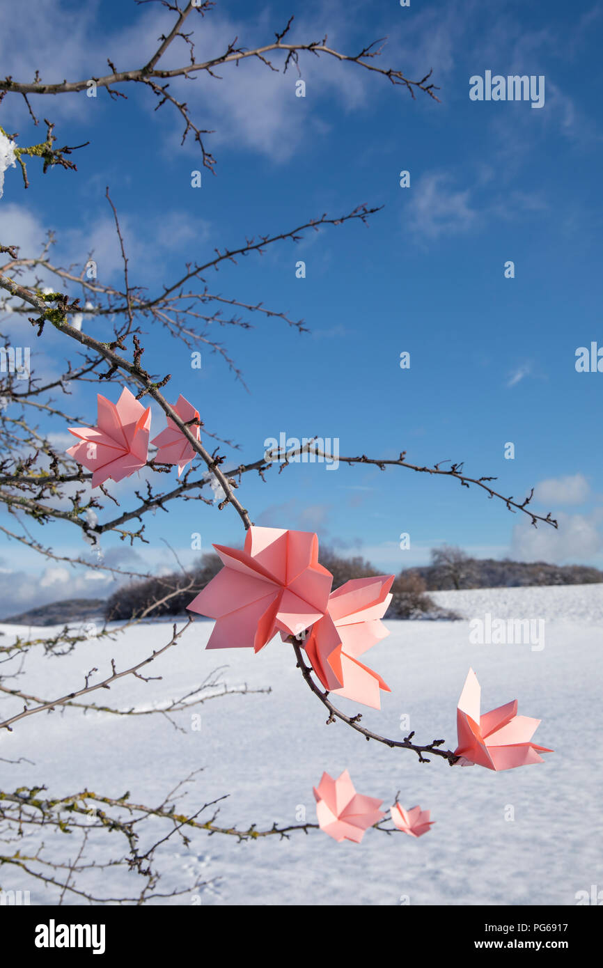 Origami flowers twigs winter hi-res stock photography and images - Alamy