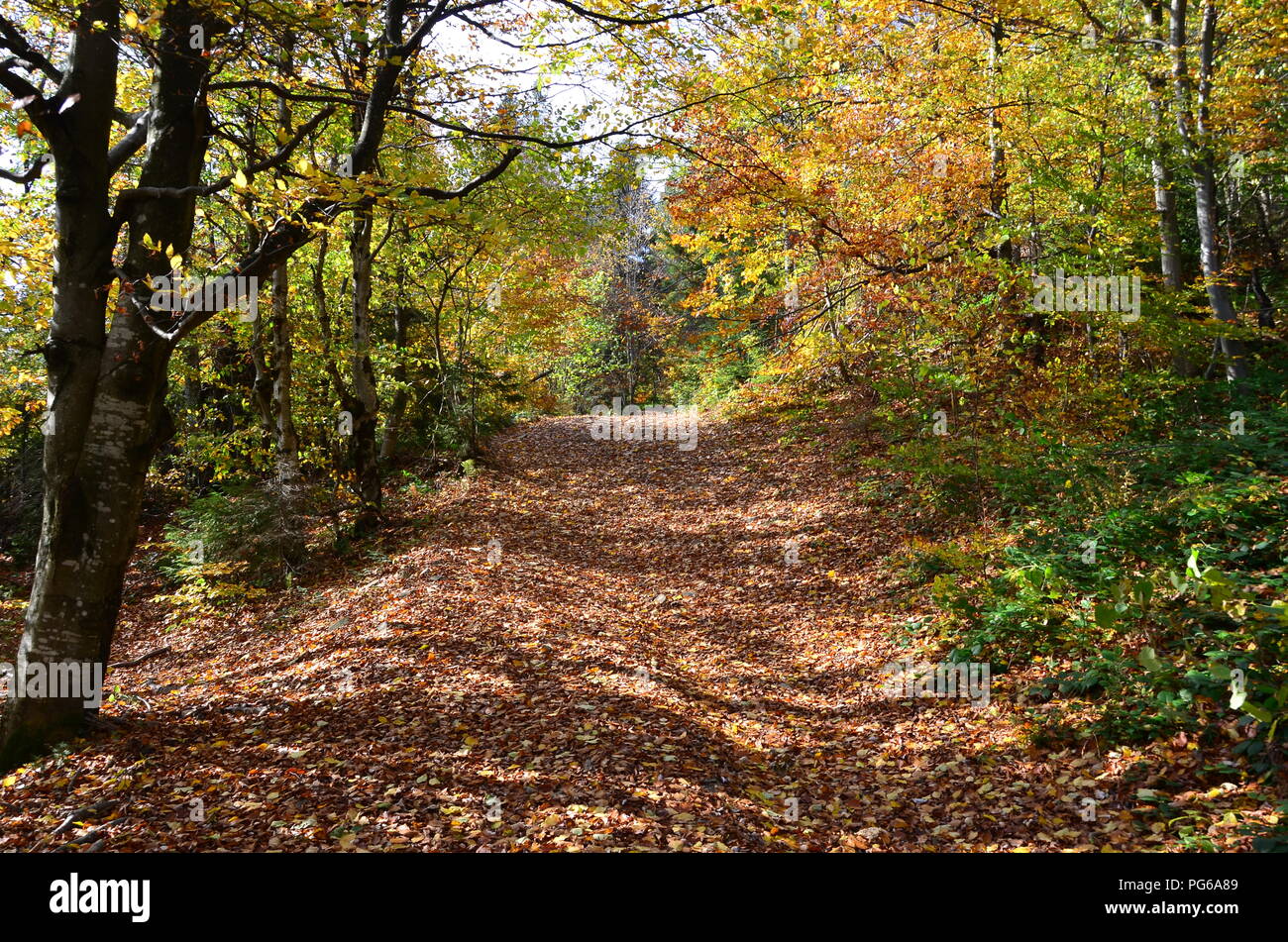 Tourism trail hi-res stock photography and images - Alamy