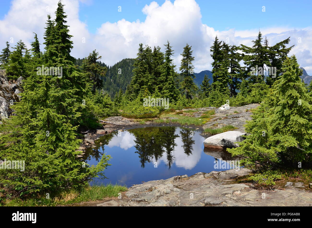 Lakes and forest hi-res stock photography and images - Alamy
