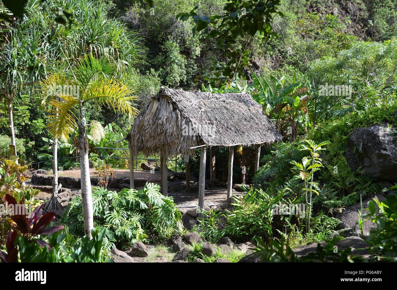 Thatch thatched polynesian hi-res stock photography and images - Alamy