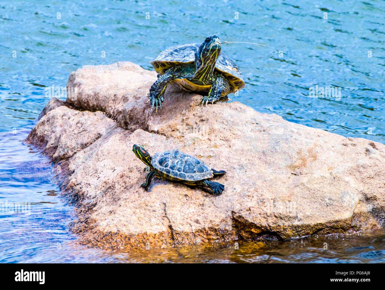 Shell rock river hi-res stock photography and images - Alamy