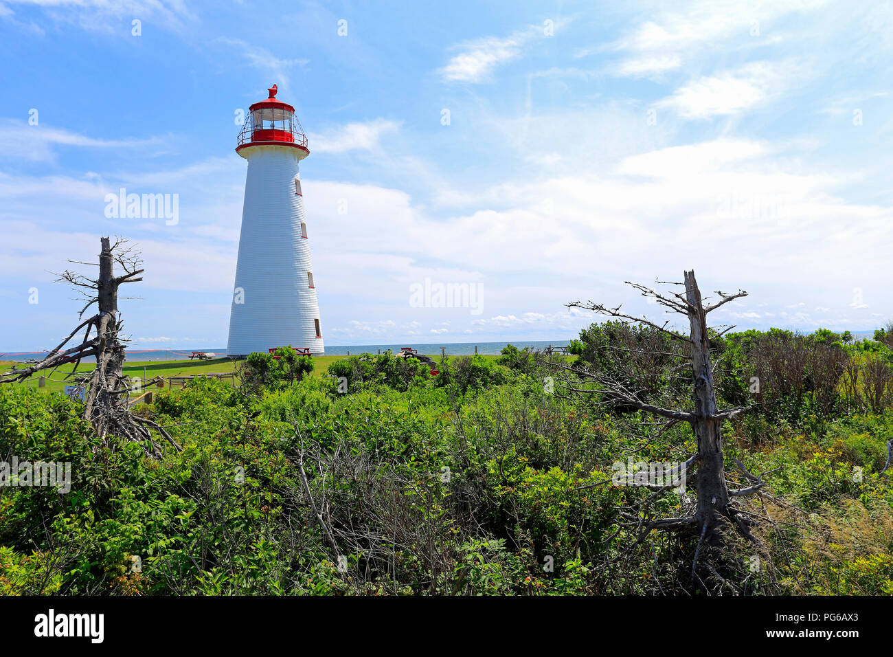 Prim point hi-res stock photography and images - Alamy