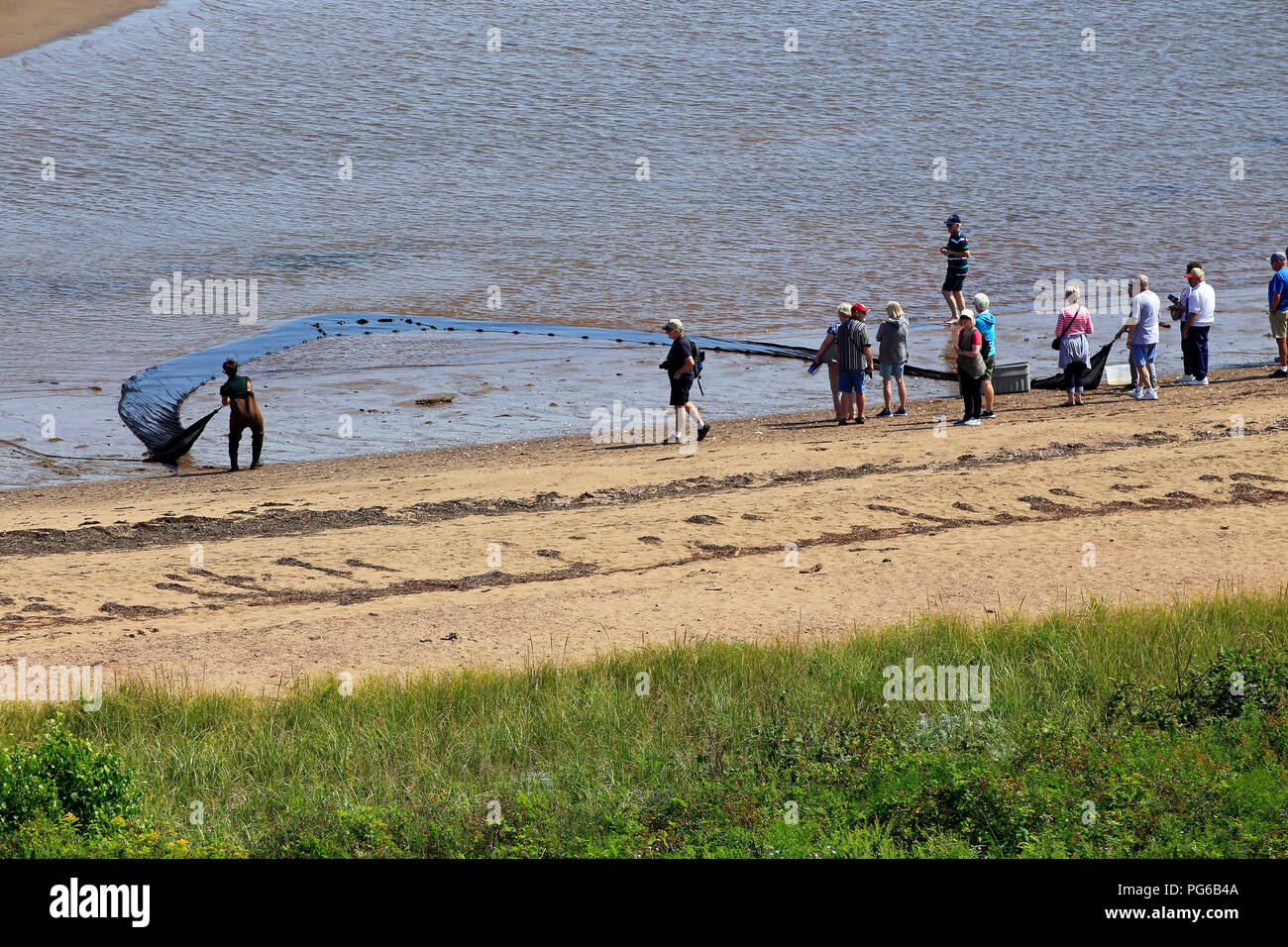 Using a barrier seine net to catch fish Stock Photo - Alamy