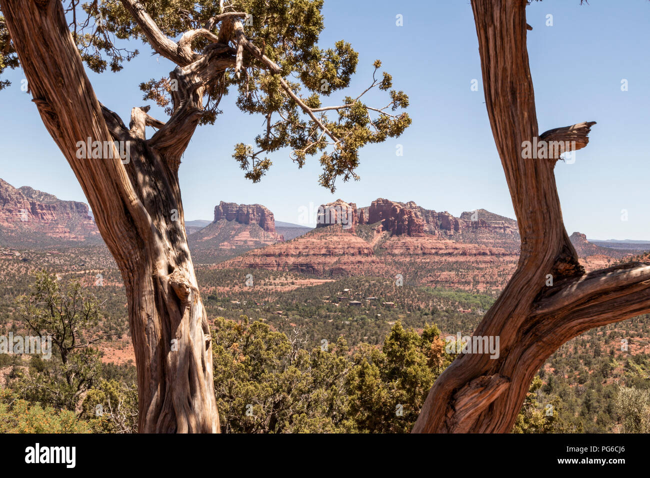 Sedona, Arizona mountains through tree branches Stock Photo - Alamy