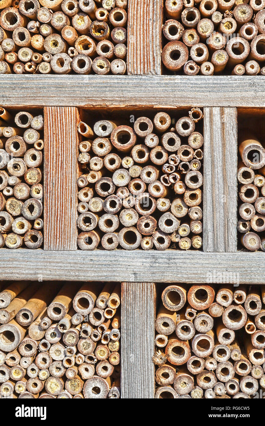 Insect houses hi-res stock photography and images - Alamy