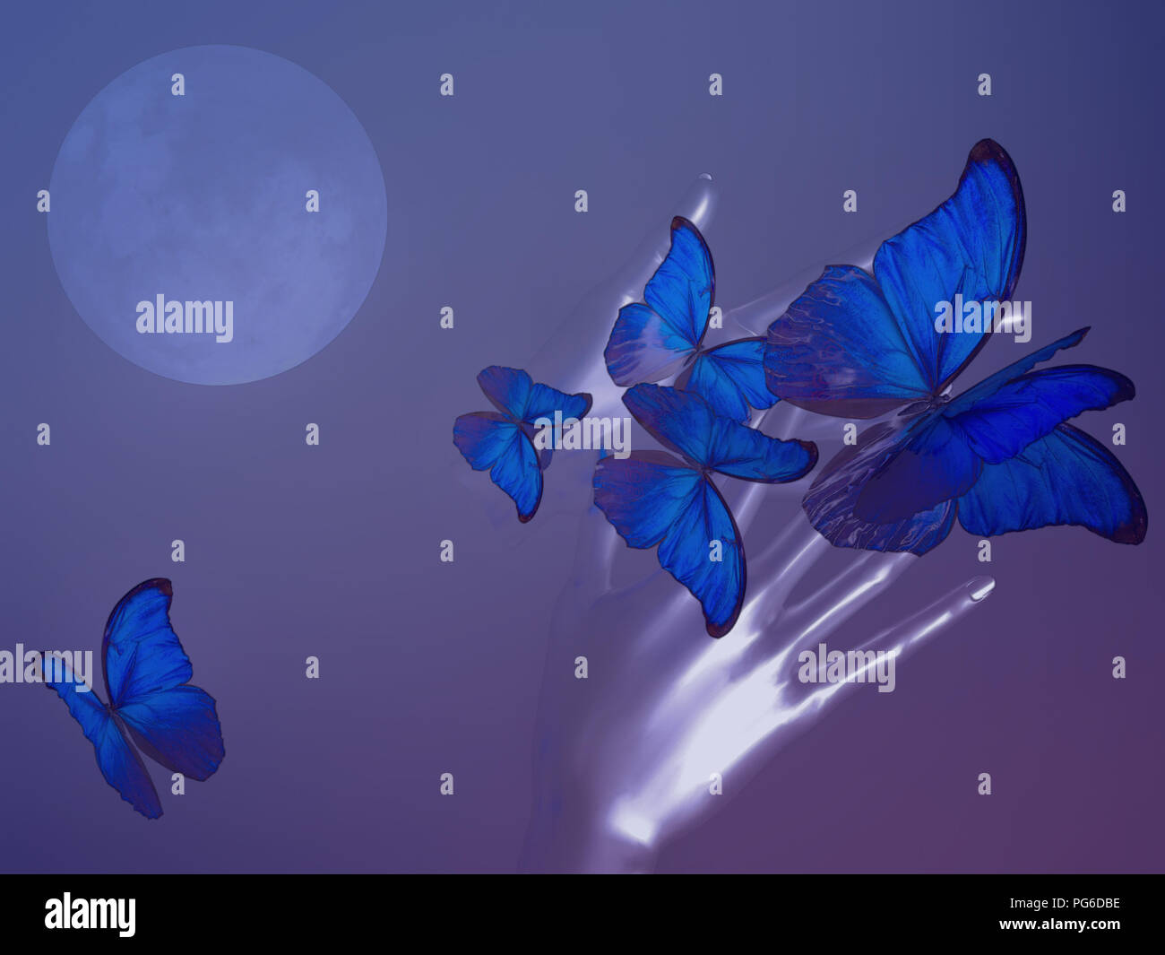 Close Up Hands Flying Butterfly High Resolution Stock Photography and ...