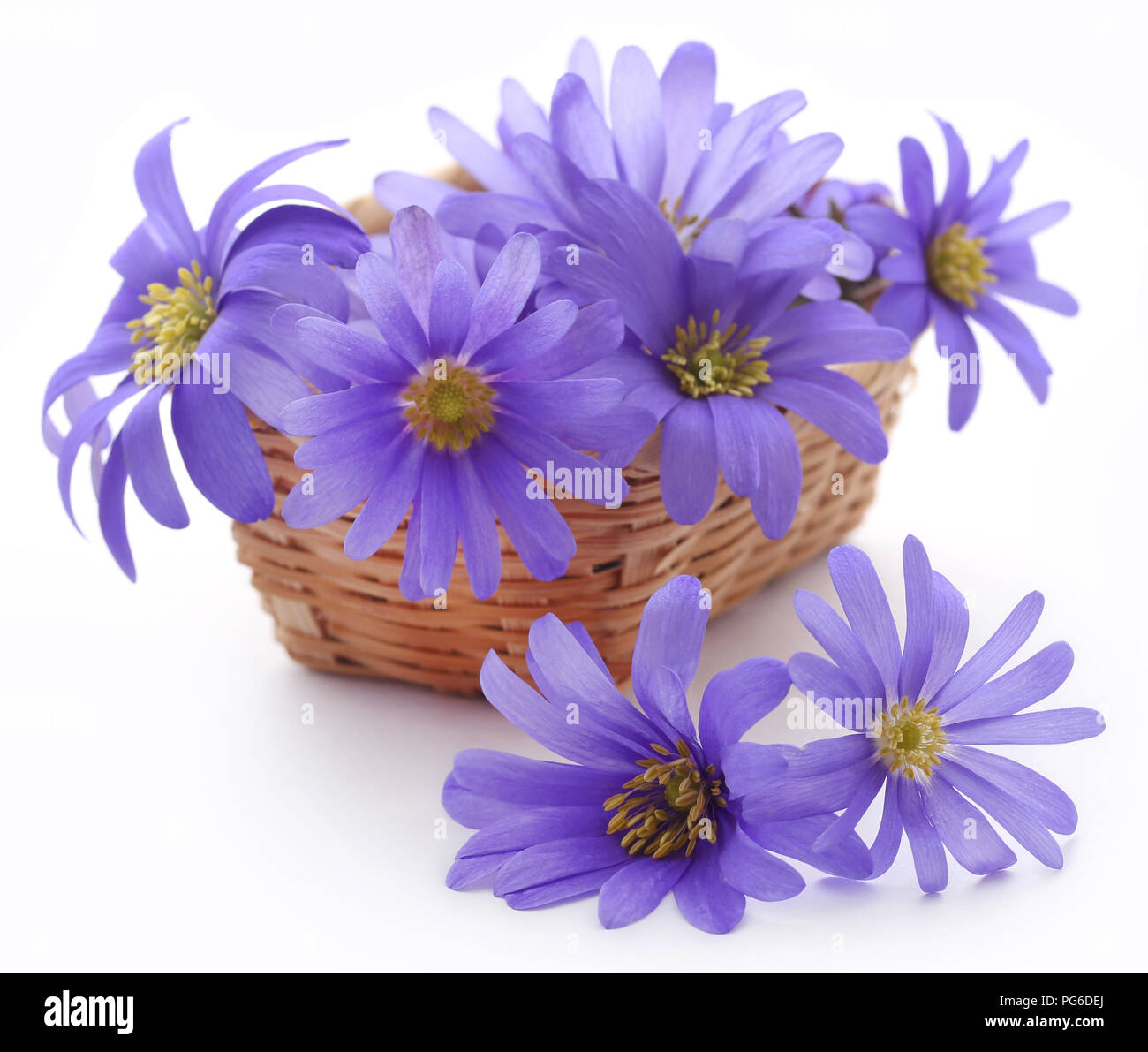 Grecian windflowers hi-res stock photography and images - Alamy