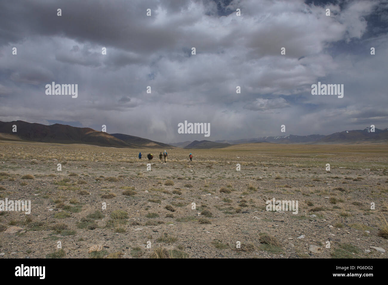 Yak trekking near Lake Zorkul, Tajikistan Stock Photo - Alamy