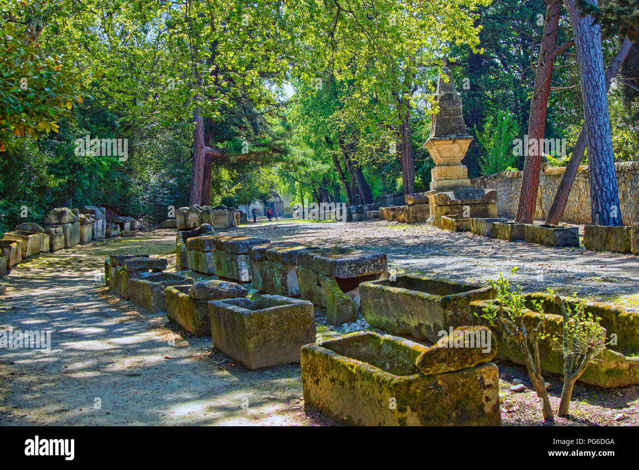 The Alyscamps, a large Roman necropolis in Arles Stock Photo - Alamy