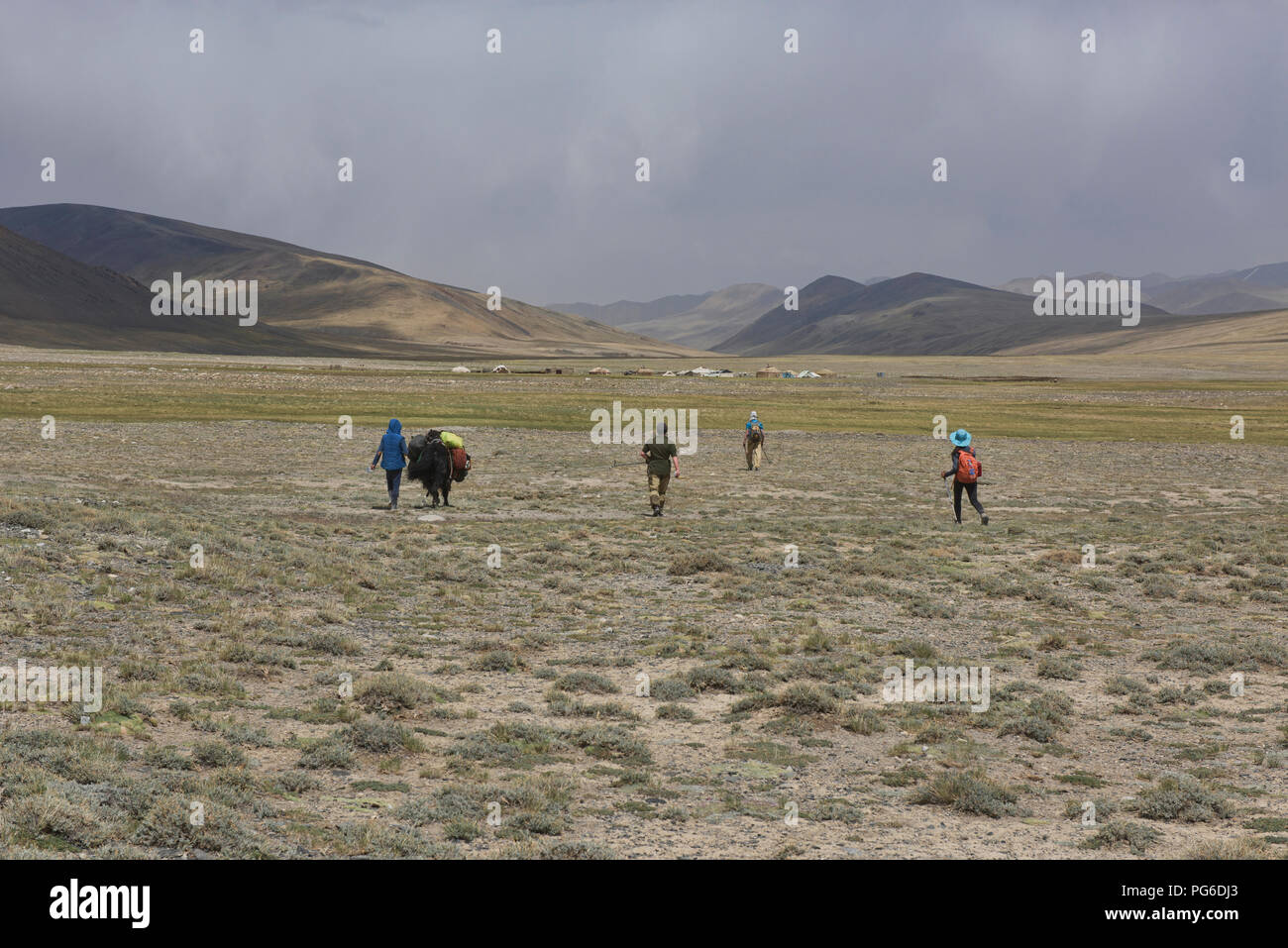 Yak trekking near Lake Zorkul, Tajikistan Stock Photo - Alamy
