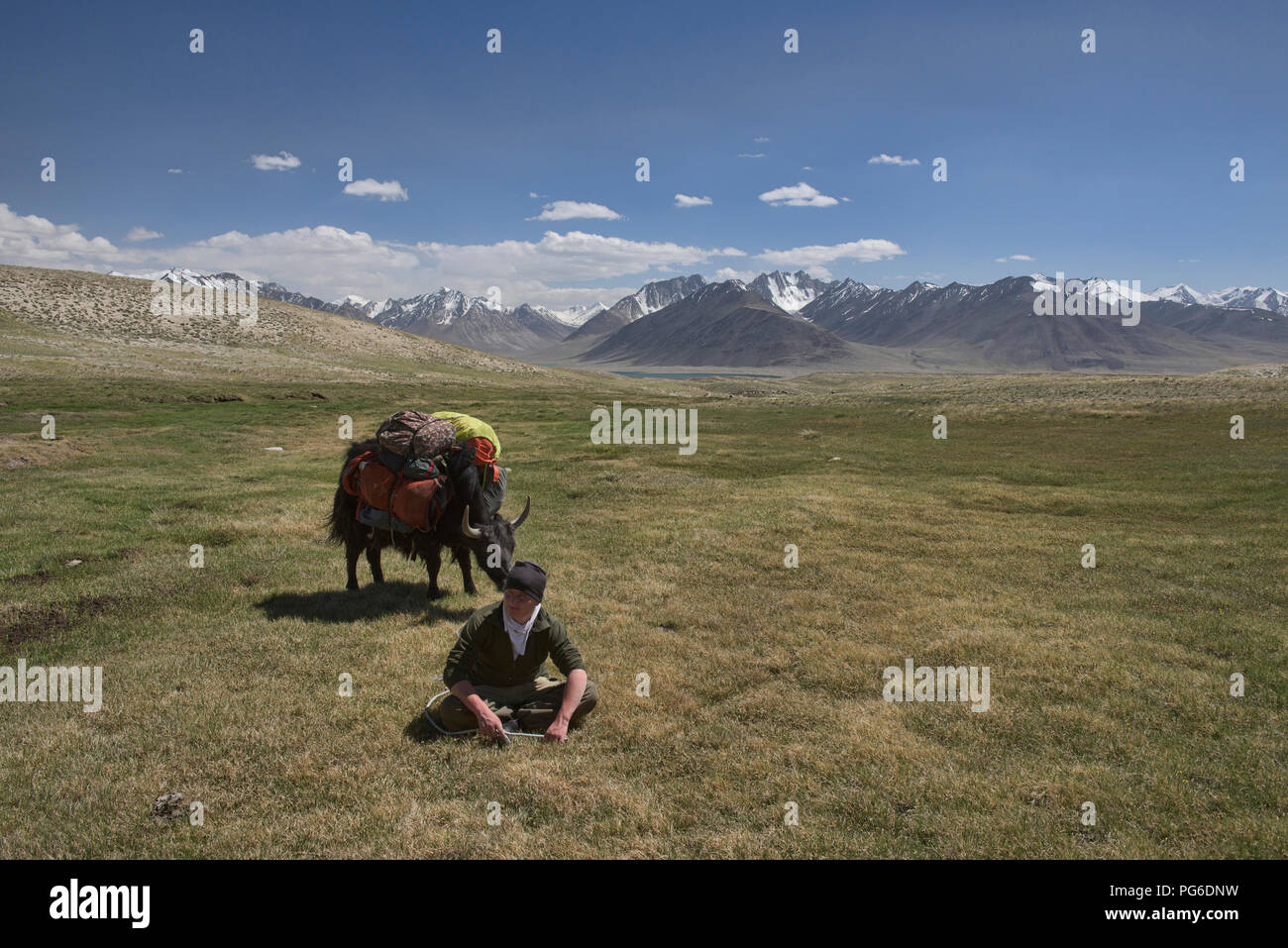 Yak trekking to Lake Zorkul, Tajikistan Stock Photo - Alamy