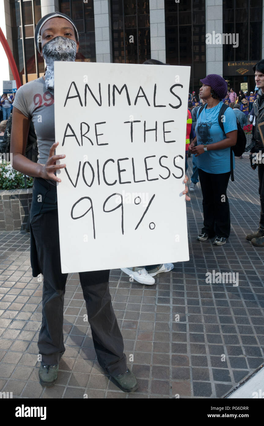 LOS ANGELES - NOVEMBER 17: Occupy LA protesters march on November 17 ...