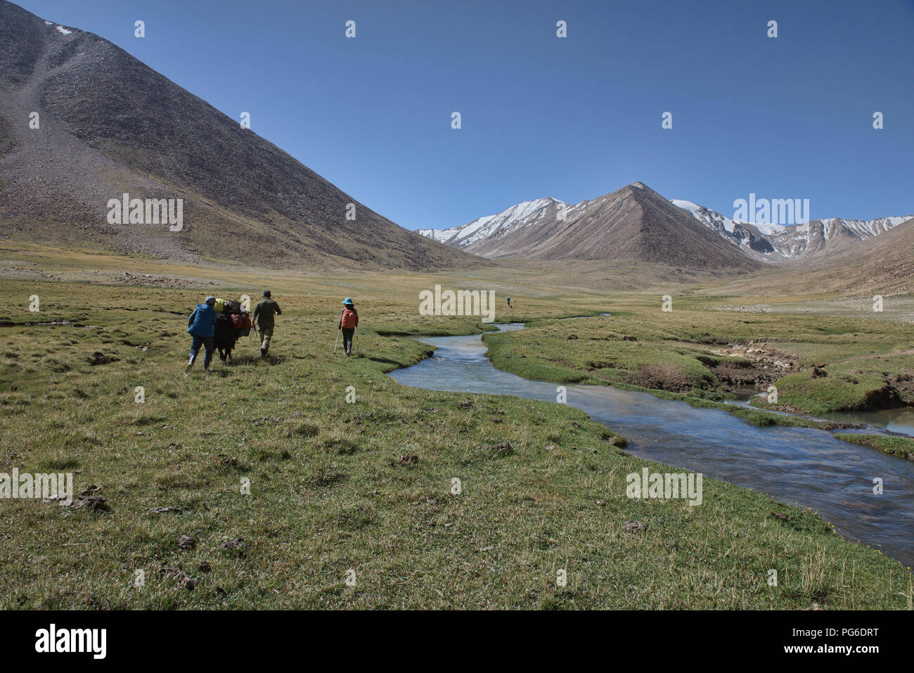 Yak trekking to Lake Zorkul, Tajikistan Stock Photo - Alamy