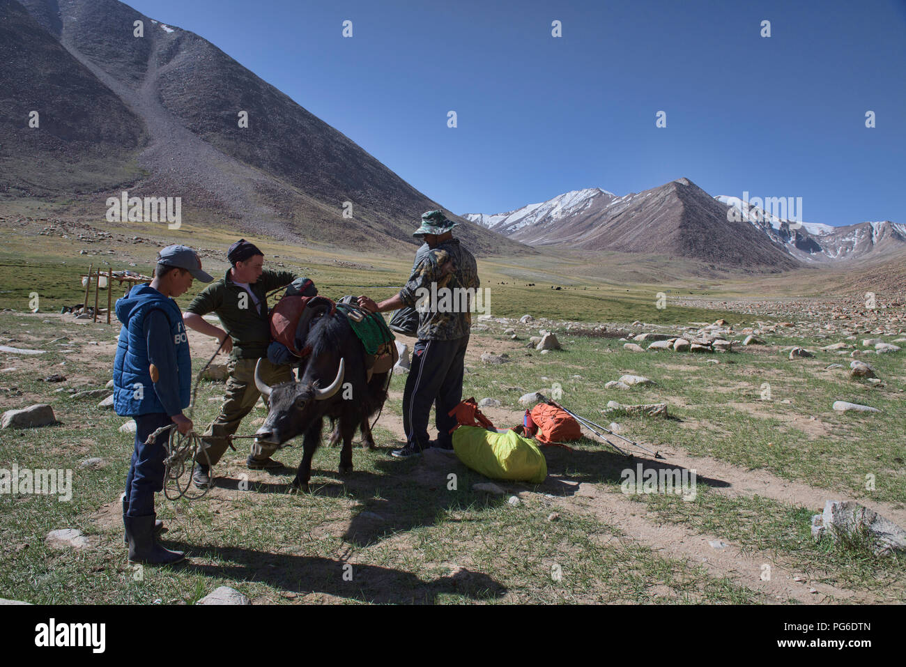 Preparing for yak trekking to Lake Zorkul, Tajikistan Stock Photo - Alamy