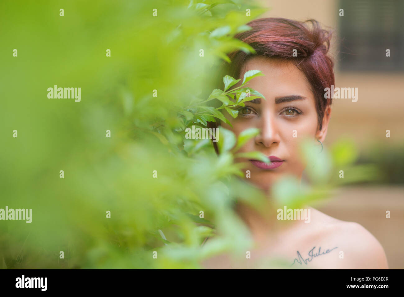 Short hedge hi-res stock photography and images - Alamy