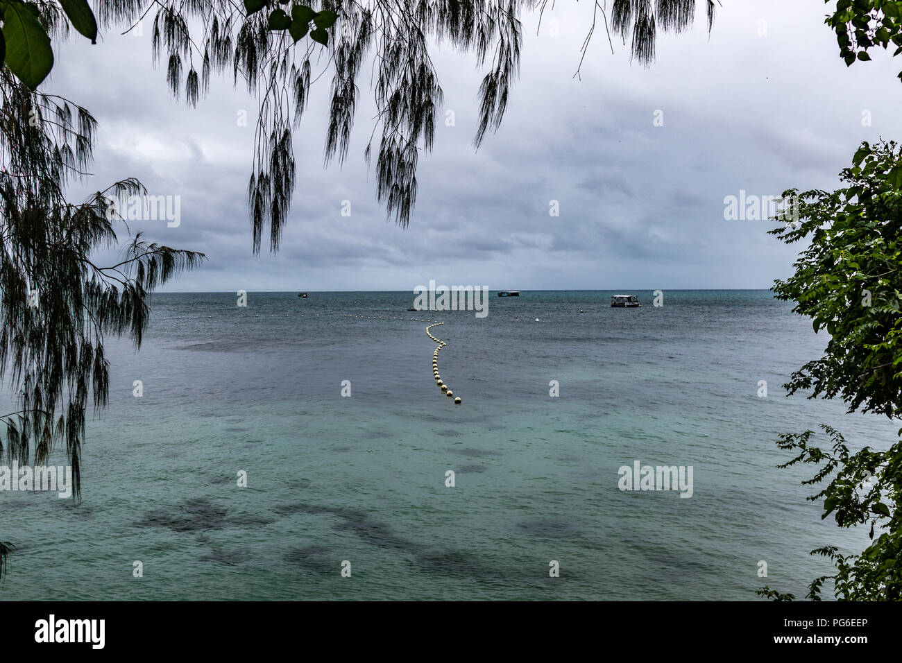 Ocean view through trees hi-res stock photography and images - Alamy