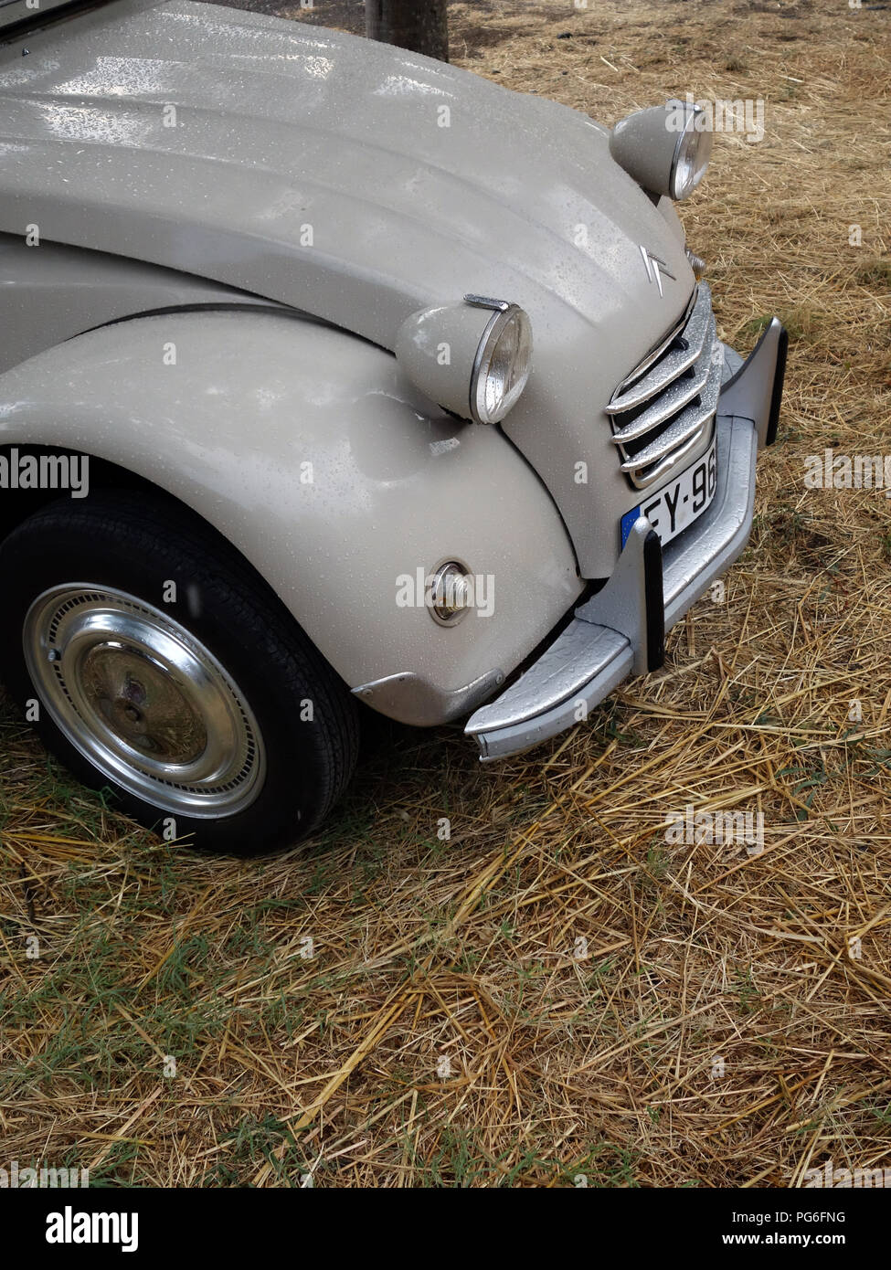 Car Front view of a Cream coloured Citroen 2CV Parked car under trees ...