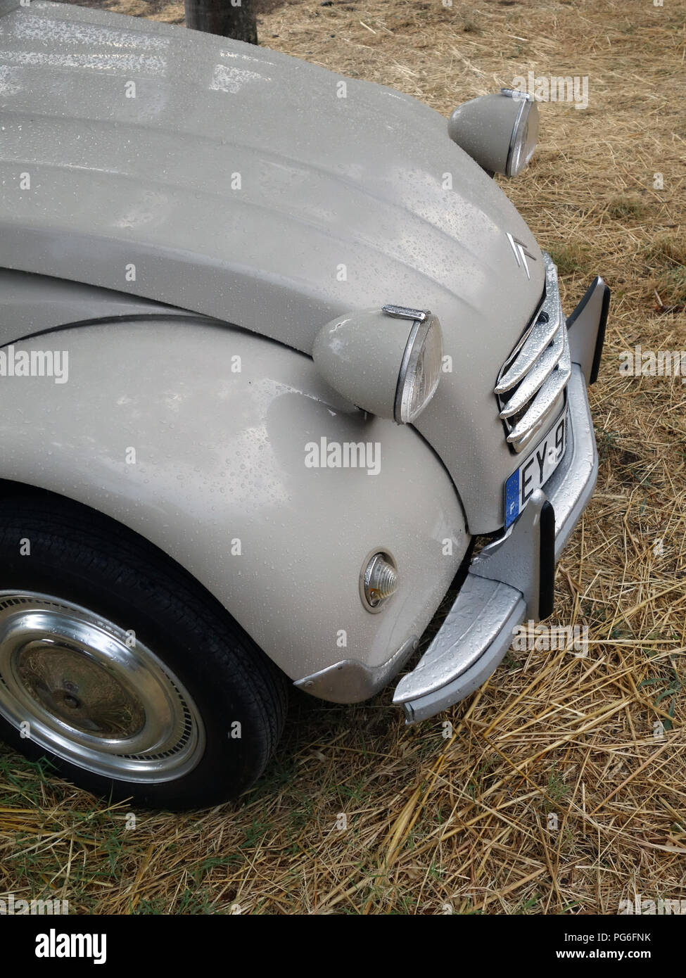 Car Front view of a Cream coloured Citroen 2CV Parked car under trees ...