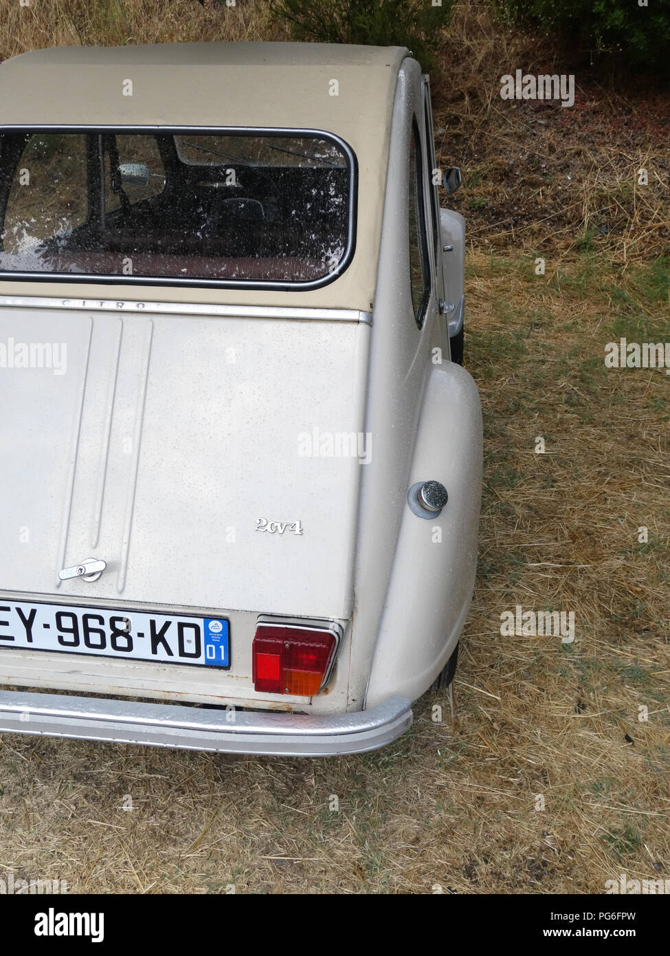 Part rear view of a Cream coloured Citroen 2CV parked under trees in a ...