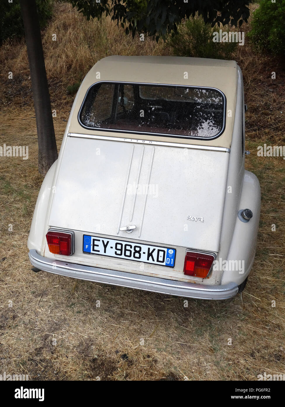 rear view of a Cream coloured Citroen 2CV Parked car under trees in a ...