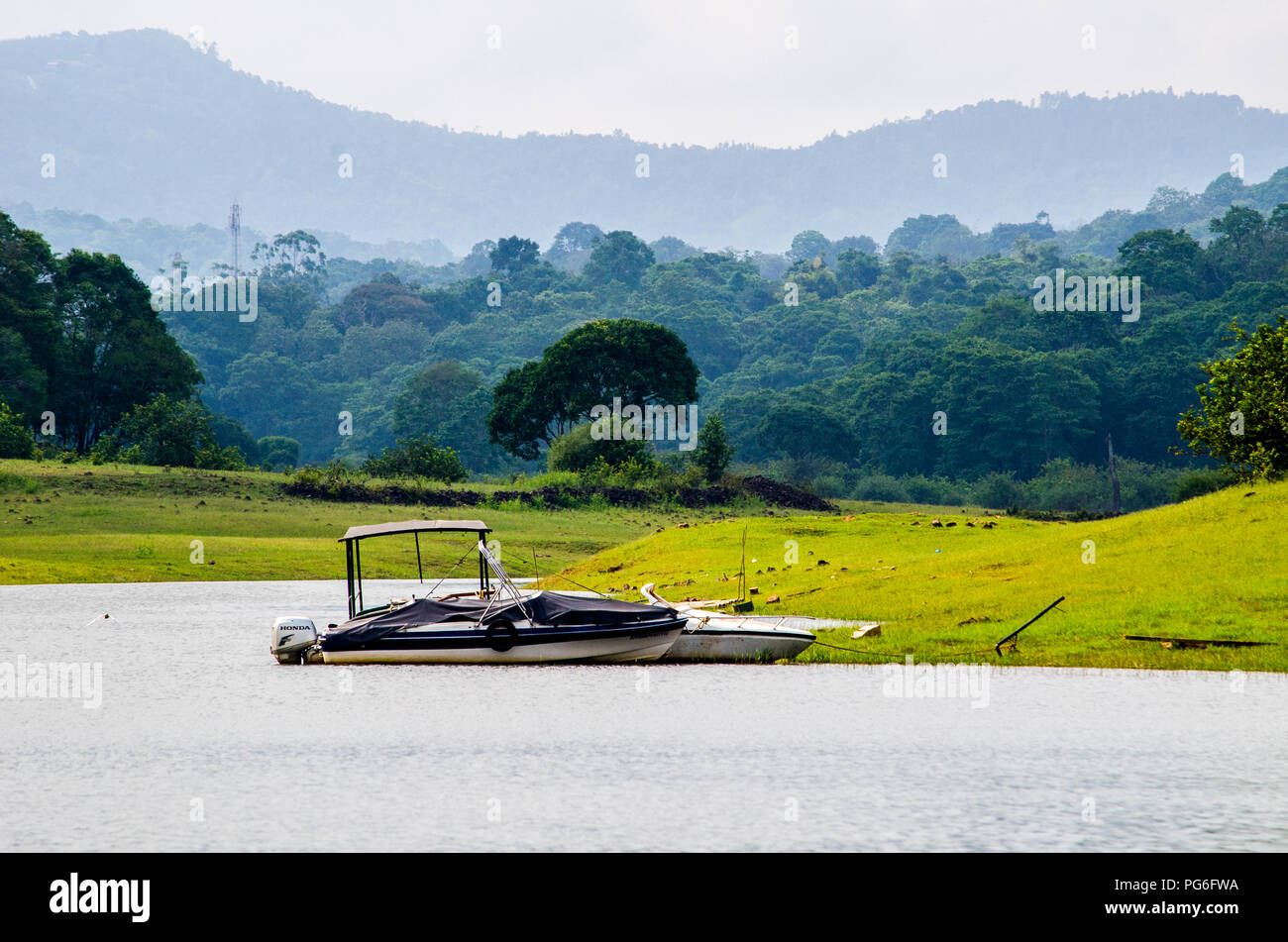 Speed boat in a still river Stock Photo - Alamy