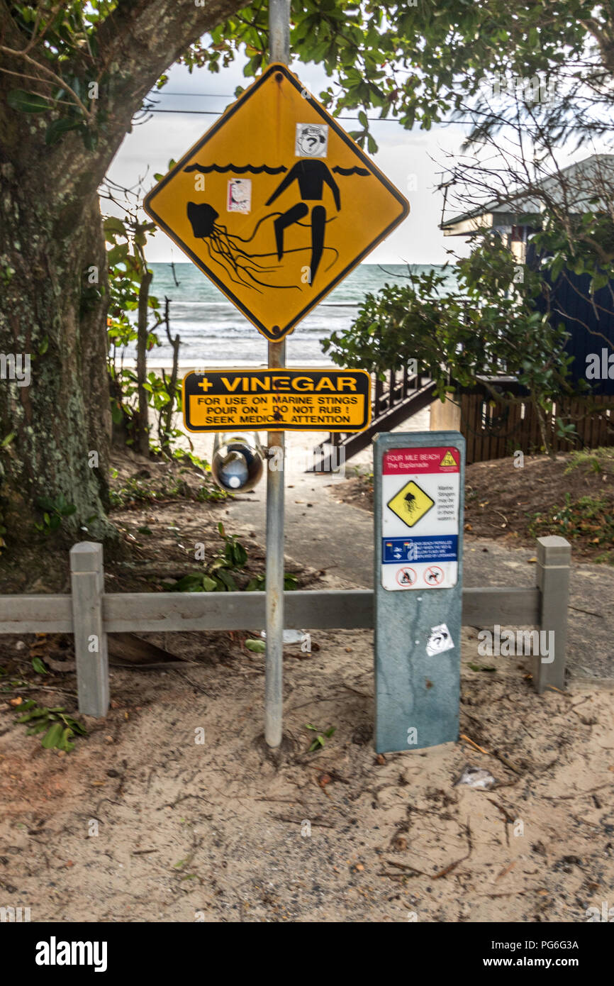 Australian stinger hi-res stock photography and images - Alamy