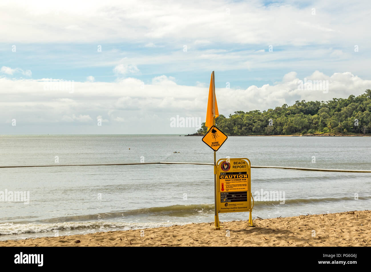 Australian stinger hi-res stock photography and images - Alamy