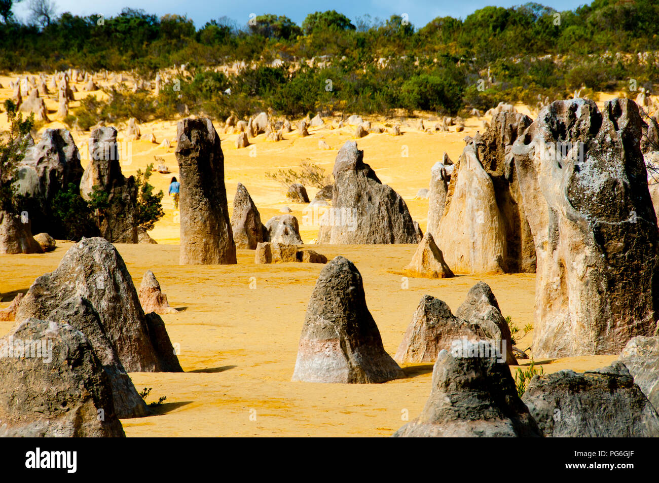 The Pinnacles - Australia Stock Photo - Alamy