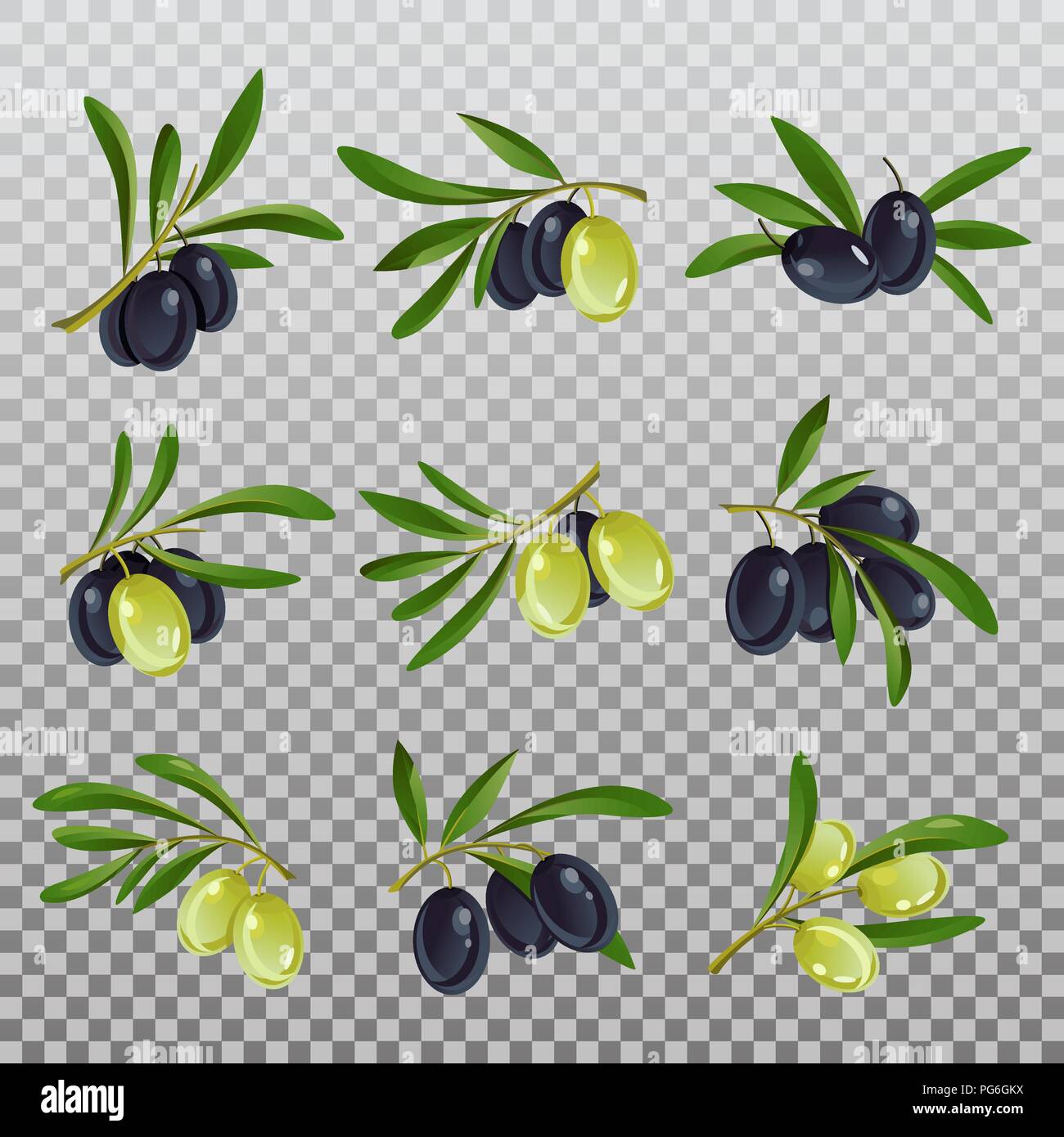 Italian olive market Stock Vector Images - Alamy