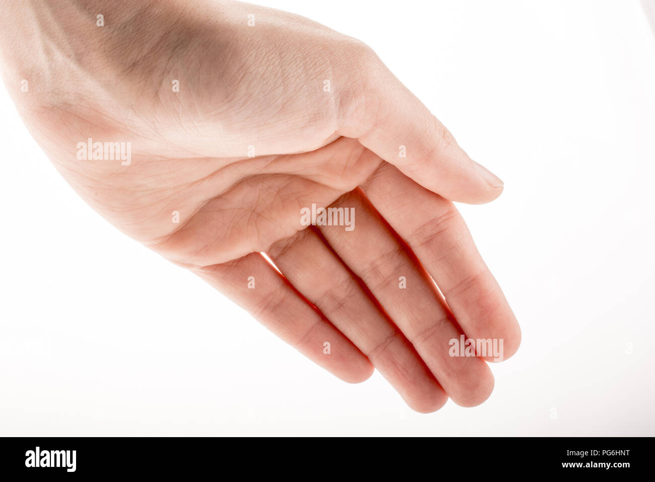 Hand holding on a white background Stock Photo - Alamy