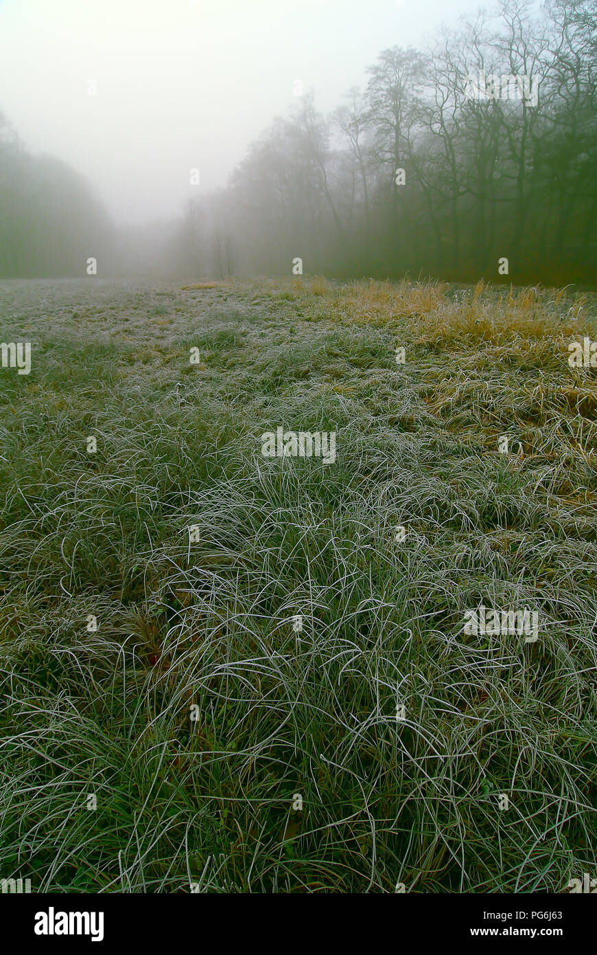 First frosts hi-res stock photography and images - Alamy