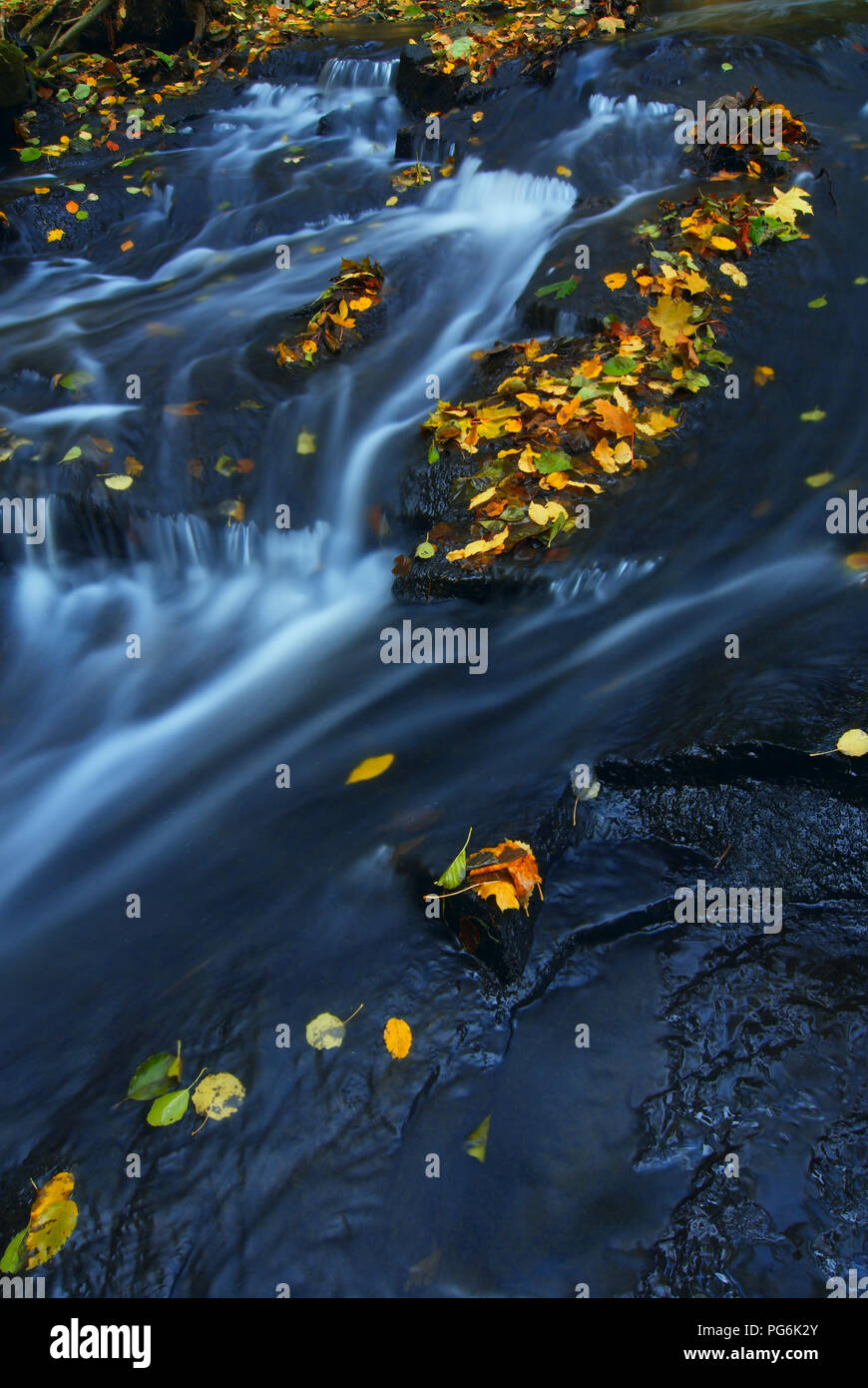 Mountain wood stream in an autumn forest Stock Photo - Alamy