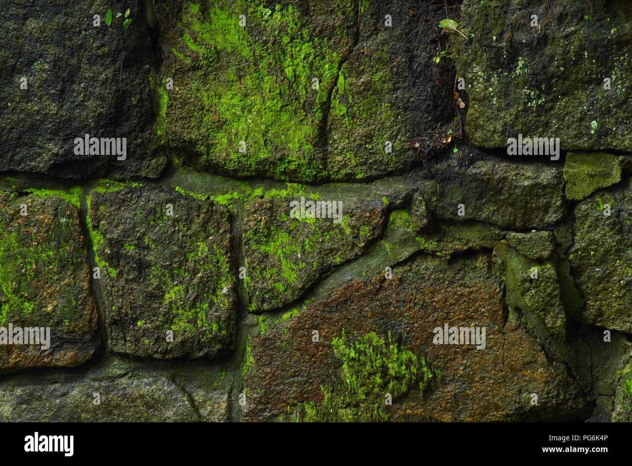 The old stone wall covered by a moss Stock Photo - Alamy