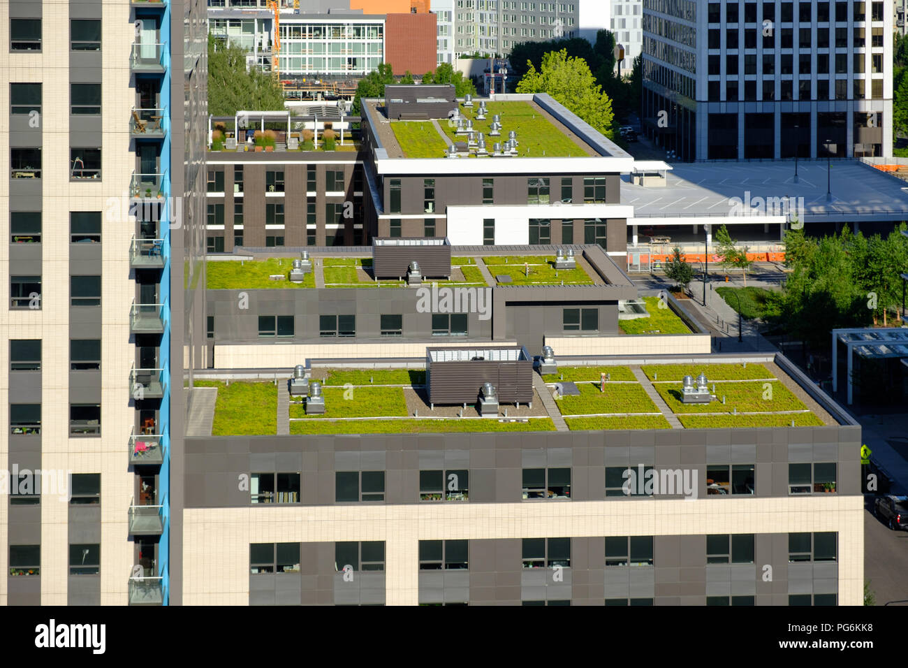 Greenery on roofs of buildings in downtown Portland, Oregon, USA Stock ...
