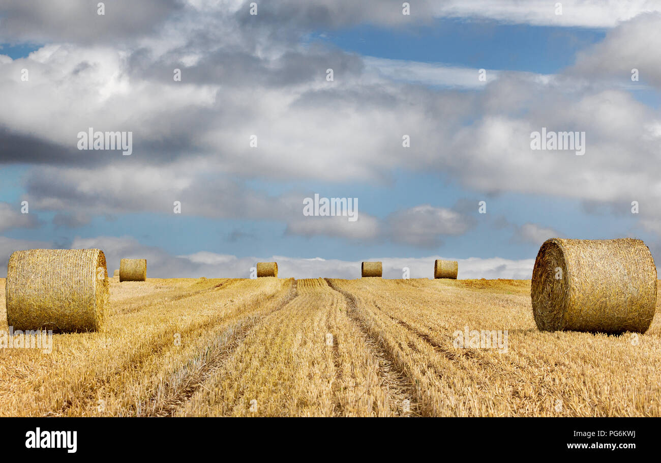 British countryside after the harvest Stock Photo - Alamy