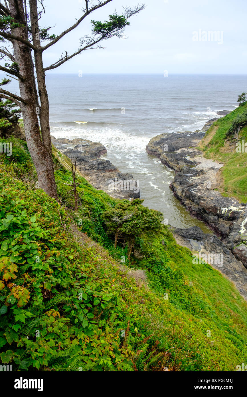 Devil's Churn at Cape Perpetua scenic area, Oregon, USA Stock Photo - Alamy