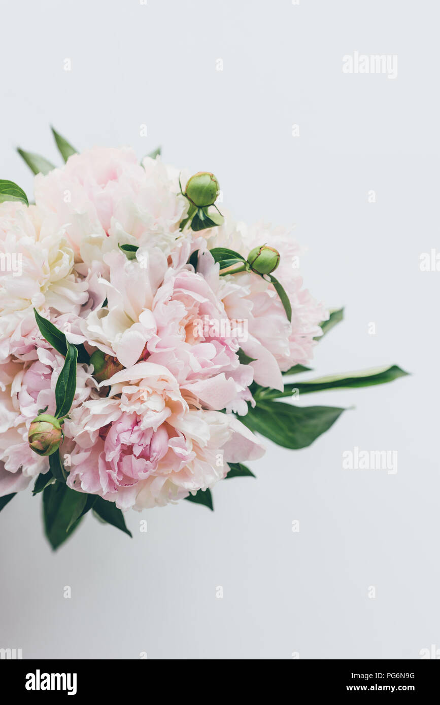top view of light pink peony bouquet on white Stock Photo - Alamy